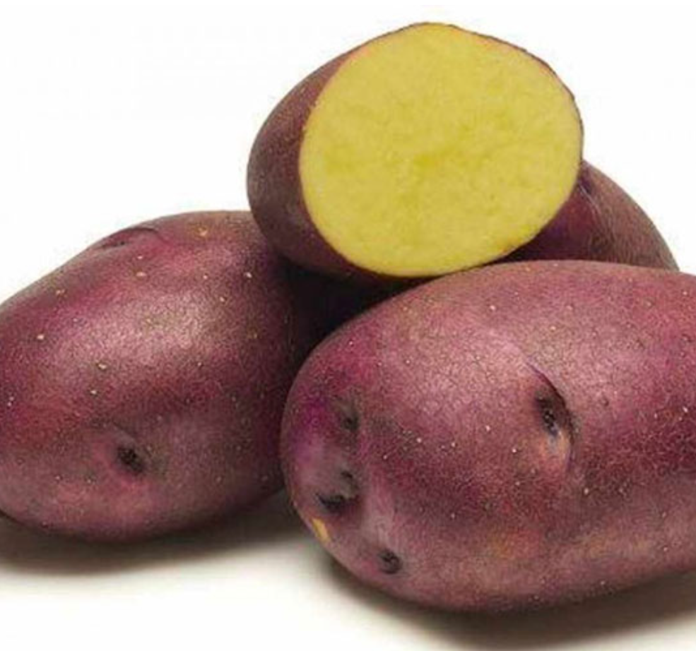 Huckleberry Gold Seed Potato - 1 pound | Krings Greenhouse & Nursery 45 ...